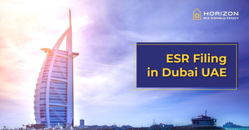 UAE ESR Penalties 2025 Non Submission Fines & Appeal Process