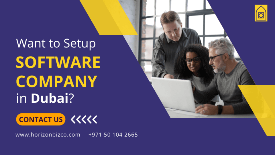 All You Want to Know About Setting Up a Software Company UAE