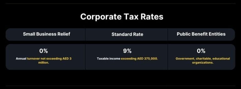 Step-by-Step UAE Corporate Tax Filing Guide for 2025 - Horizonbizco
